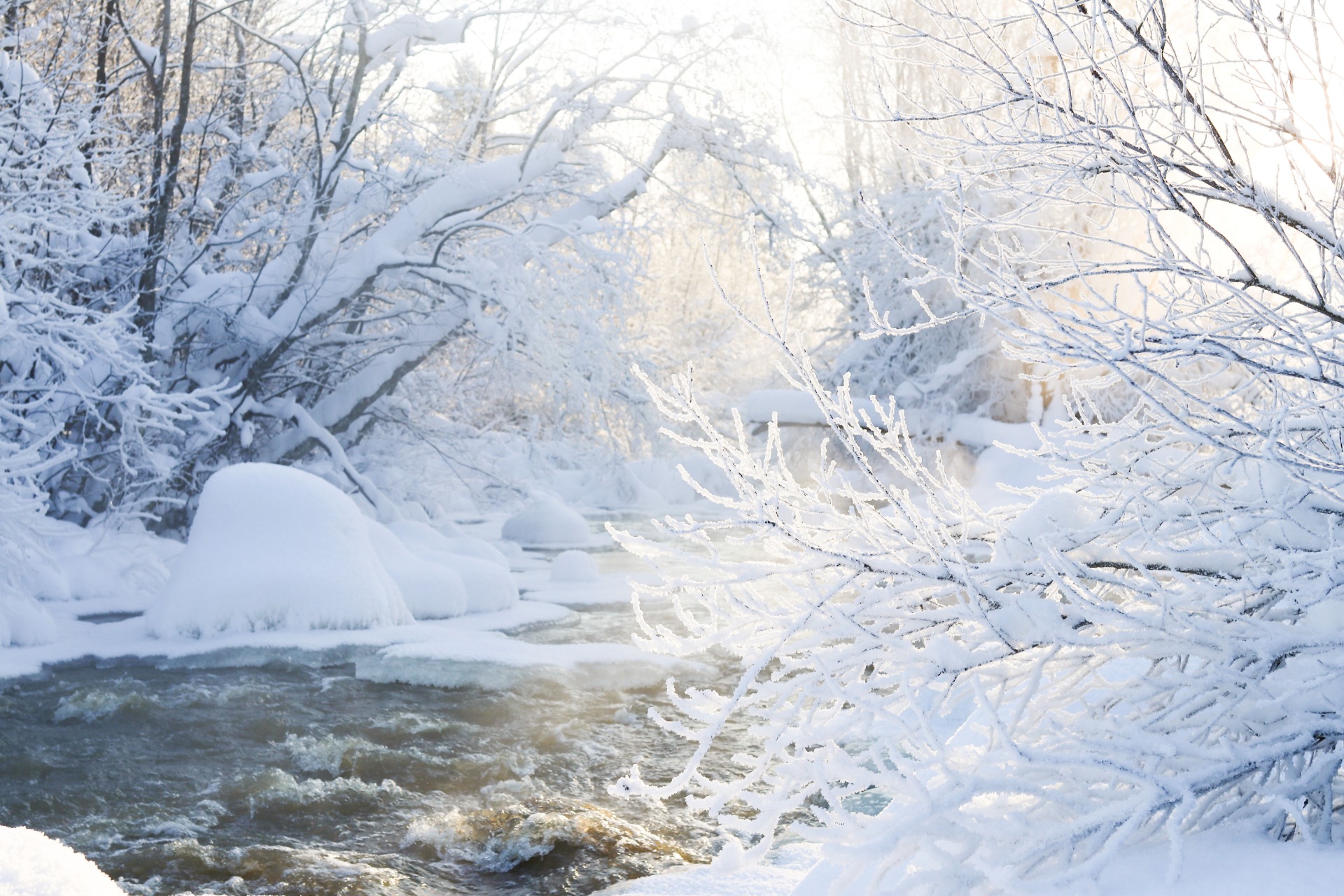 DESIGN :: Peppi-Emilia Salmi